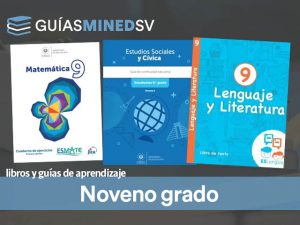 Guías y libros de texto de 9 Grado 【2025 】- PDF